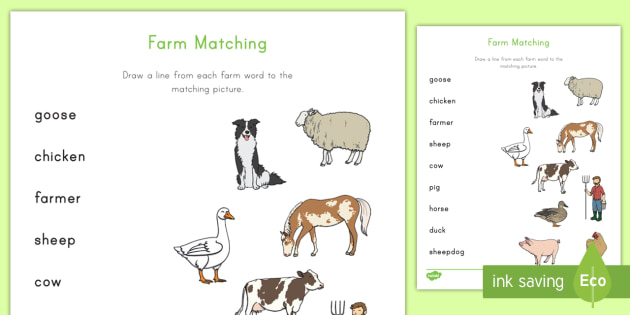 Farm Word and Picture Matching Activity (teacher made)