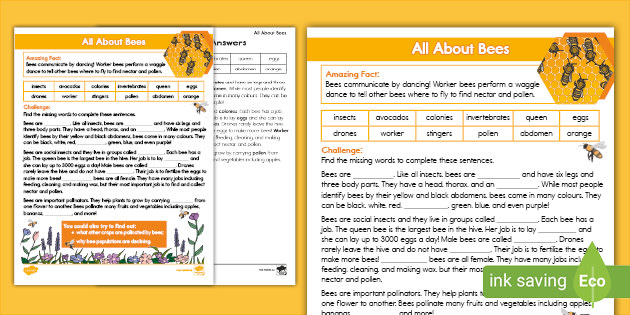 All About Bees Cloze Activity - Grade 1-3 - Twinkl Canada