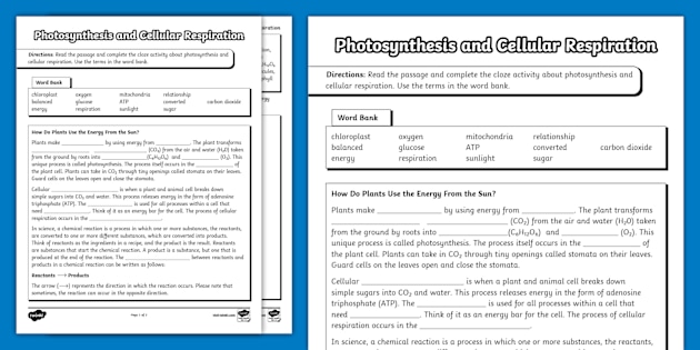 Cellular Respiration Skills Worksheet Answer Key Energy, Matter, And
