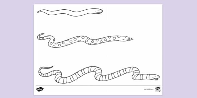 FREE! - Printable Colouring Page of Snakes | Colouring Sheets