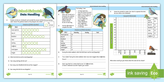 Statistics Parent Guide and Activity Ideas - Year 4 Subject Support ...