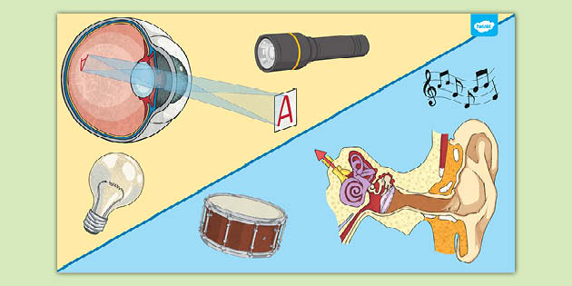 Light and Sound Virtual Teaching Background