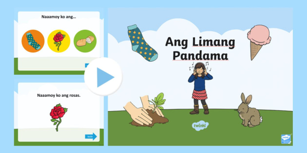 Limang Pandama- Powerpoint Presentation - Preschool - Twinkl
