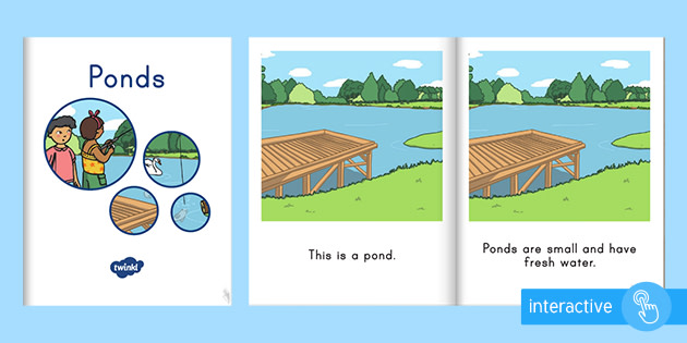 Ponds Emergent Reader eBook (teacher made)