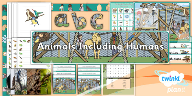 Science: Animals Including Humans Year 2 Additional Resources