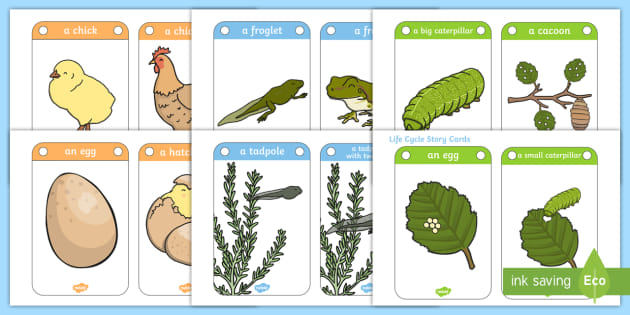 Life Story Threading Card Set (teacher made)