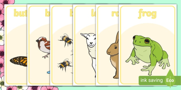 Spring Animal Pictures - Beautifully Illustrated Posters