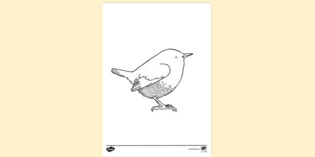 FREE! - Wren Colouring Sheet | Colouring Pages