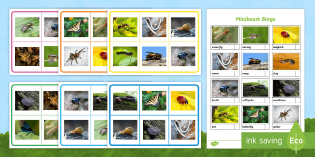 Minibeast Photo Themed Bingo and Lotto Game Pack