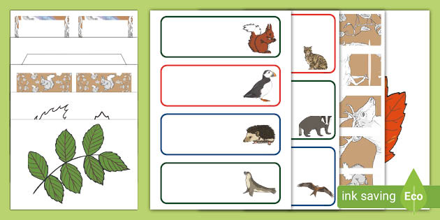 Nature-Themed Display Pack (teacher made)