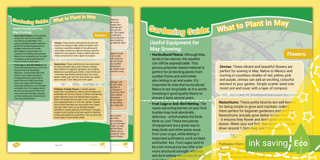 Gardening Guide: What to Plant in May (Teacher-Made)