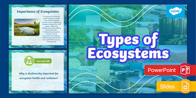 Igcse Ecosystems Powerpoint
