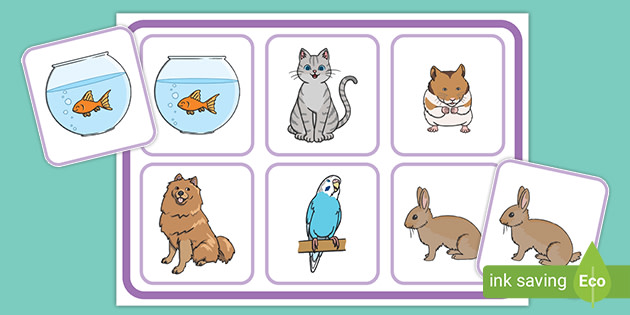 Pets Matching Cards and Board (teacher made)