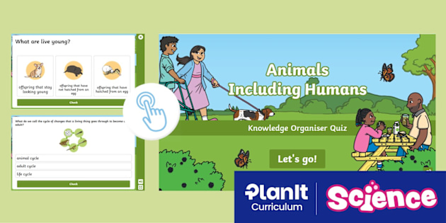 Fun Animal Quizzes | twinkl.co.uk