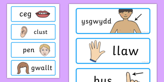 Parts Of The Body In Welsh Cards - Learning Resources