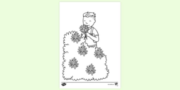 FREE! - Smell Colouring Sheet | My Five Senses | Twinkl