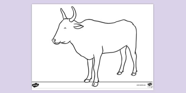 FREE! - Ox_Colouring Sheet (teacher made)