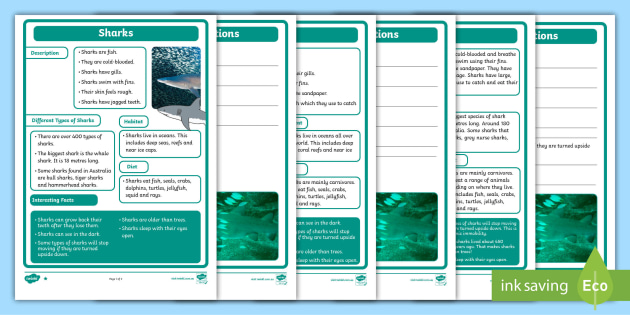 Sharks Differentiated Reading Comprehension - Twinkl