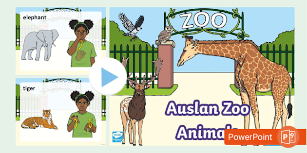 Zoo Animals PowerPoints | twinkl.com.au