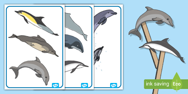 Dolphin Stick Puppets (teacher made)