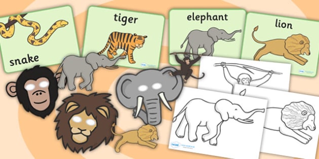 Jungle Animal Themed Story Sack Resource Pack (teacher made)