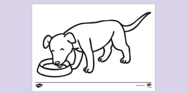FREE! - Dog Eating from Bowl Colouring | Colouring Sheets