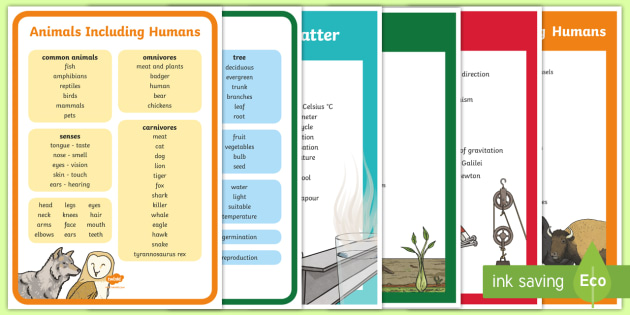 Year 1 to 6 Scientific Vocabulary Poster Resource Pack - Year 3 Forces