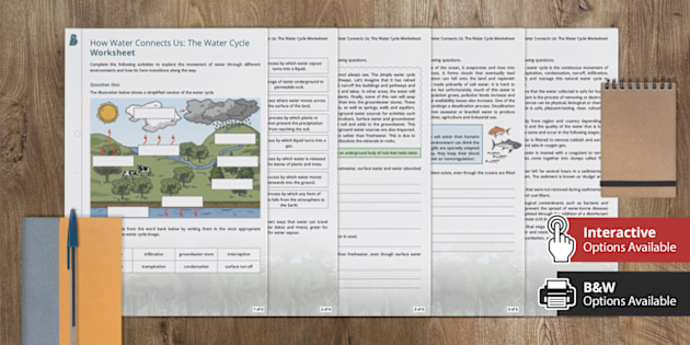 Water Cycle Interactive Worksheet Water Cycle Water Cycle Worksheet
