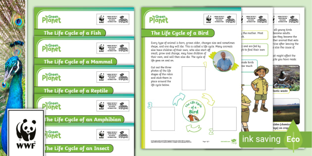FREE! - WWF and Twinkl Green Planet: Life Cycles Sequencing Activity Sheets