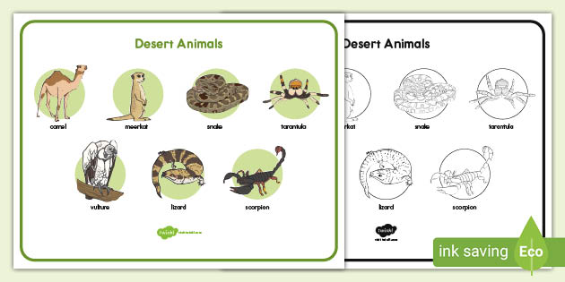 Desert Animals Habitat Word Mat