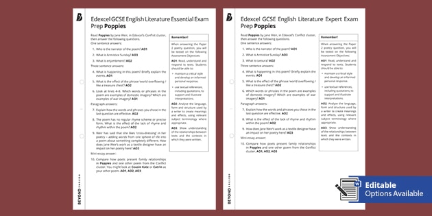 Edexcel GCSE Poetry Exam Prep - 'Poppies' Worksheet