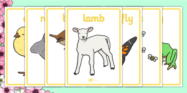 Springtime Animals Posters (teacher made)