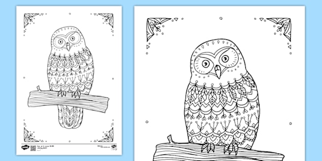 Owl Facts for Kids - Twinkl Homework Help - Twinkl