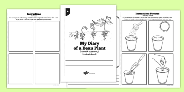My Diary of a Bean Plant Polish Translation (teacher made)