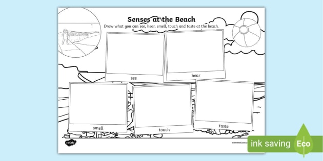 Senses at the Beach To Support Teaching on Jetty Jumping