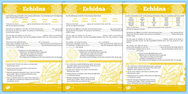 Australian Animals Years 3-6 Echidna Differentiated Cloze Passage ...