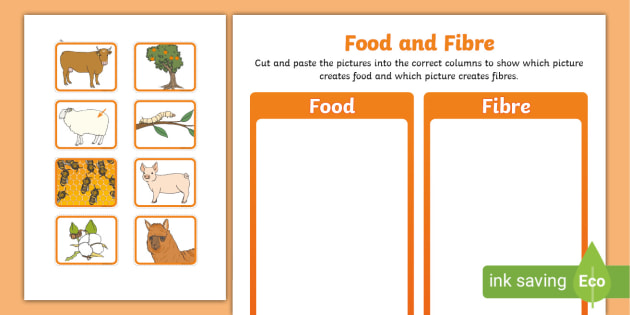 Food and Fibre Cut and Paste (teacher made)