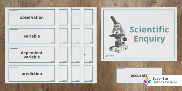 Scientific Enquiry Word Wall (teacher made)