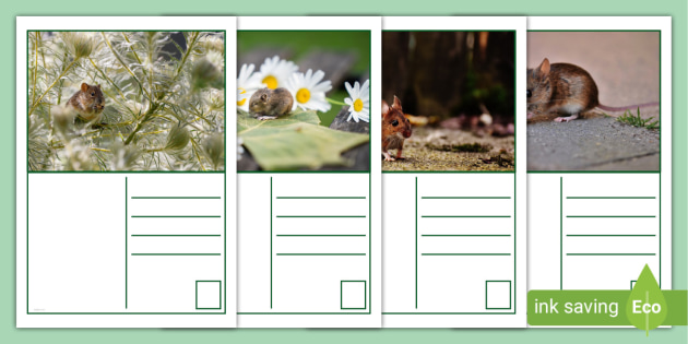 FREE! - Mouse Themed Postcards (teacher made)