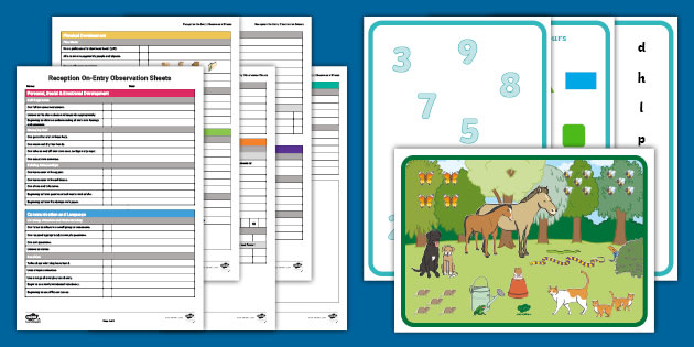 EYFS Reception On-Entry Detailed Observation Sheets