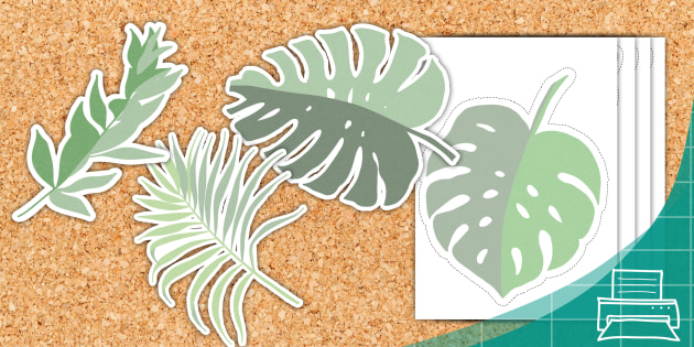 Decorative Leaves | Staffroom Noticeboard | Classroom Display | Tropical