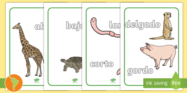 Pósters DIN A4: Vocabulario - Tamaño (teacher made)