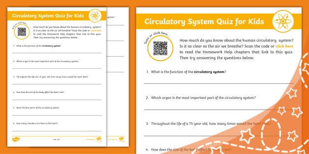 Circulatory System Quiz for Kids (teacher made)