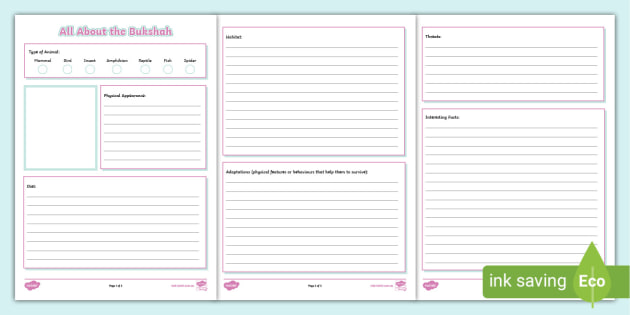 Information Report to Support Teaching on Rowan of Rin