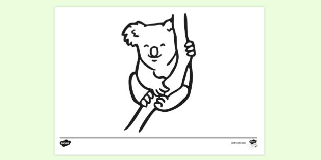 FREE! - Baby Koala Colouring | Colouring Sheets