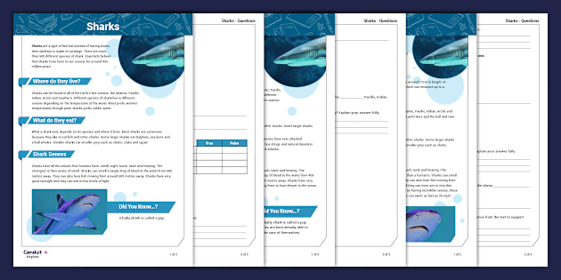 Sharks Reading Activities | twinkl.com.au