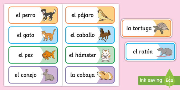 Spanish Animal Vocabulary Spanish Animals Quiz. Learn Animals In