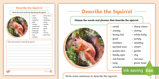 Describe the Squirrel Writing Activity (teacher made)