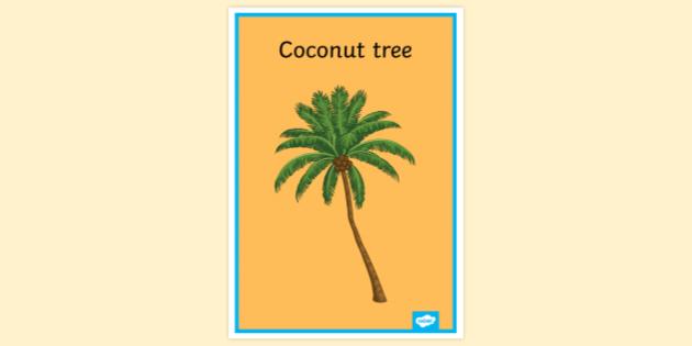 Coconut Tree Poster Display Poster | Primary Resources