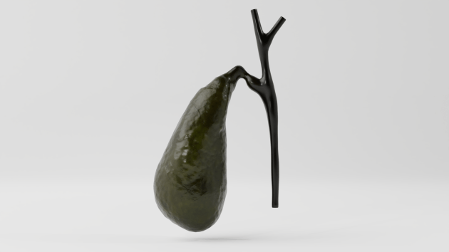 3D Gallbladder Model: The Body in Augmented Reality (AR)